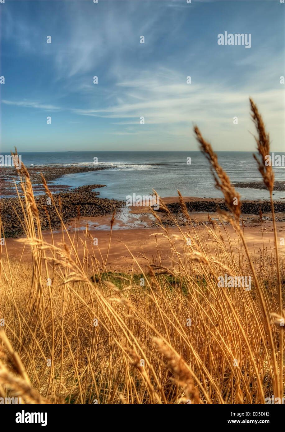 The coastline at Whitby on the North Yorkshire coast Stock Photo - Alamy