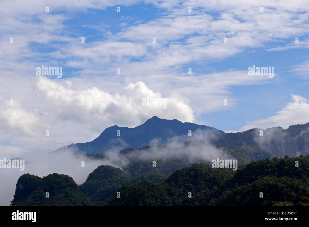 Gunung Api mountain emerges from the early morning mist in Mulu ...
