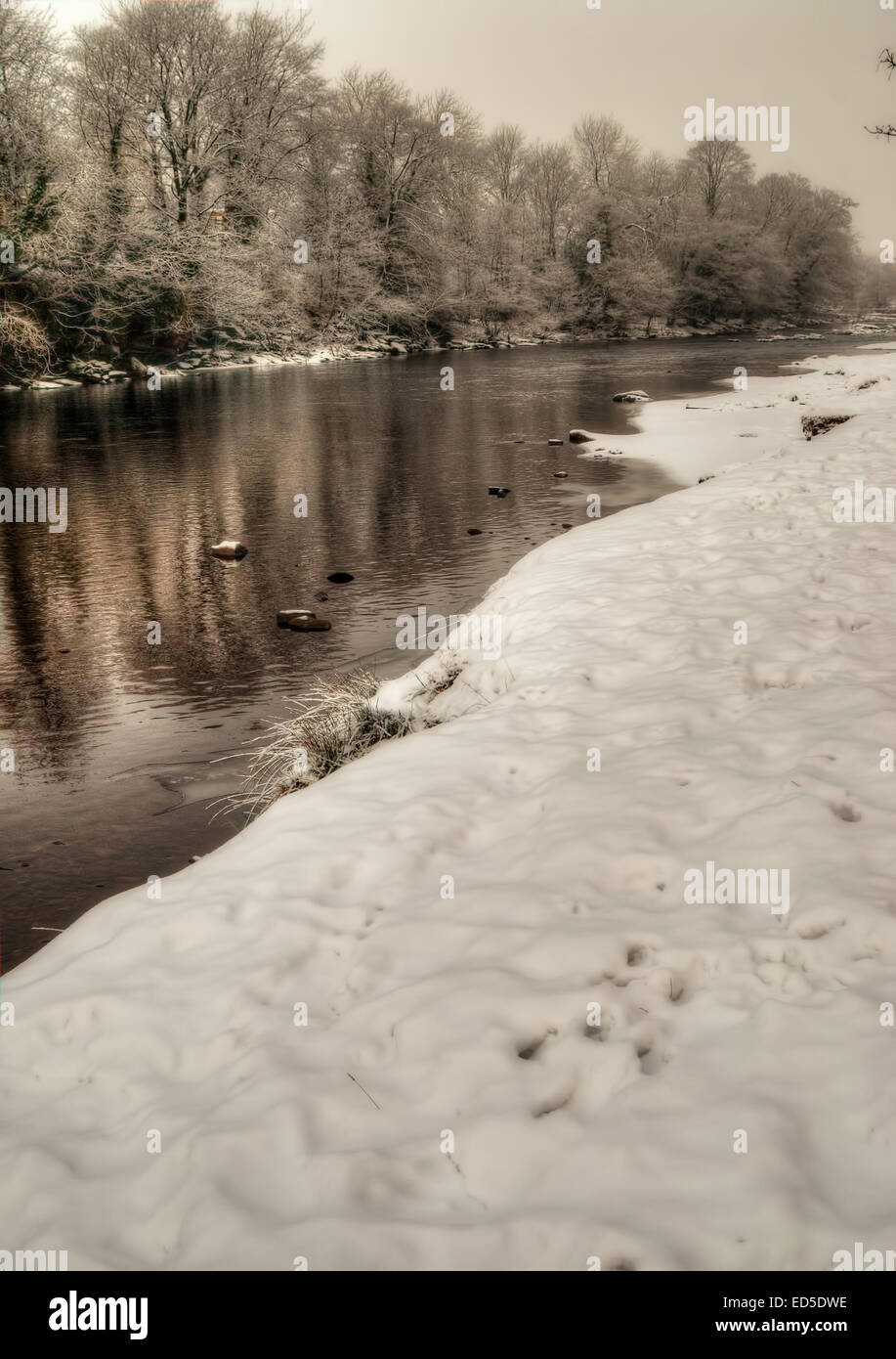 The River Tees at Barnard Castle, County Durham Stock Photo - Alamy