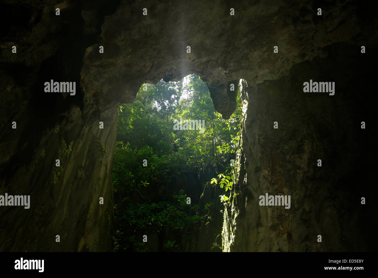 Clearwater Cave in Gunung Mulu National Park in Sarawak, Malaysia Stock ...