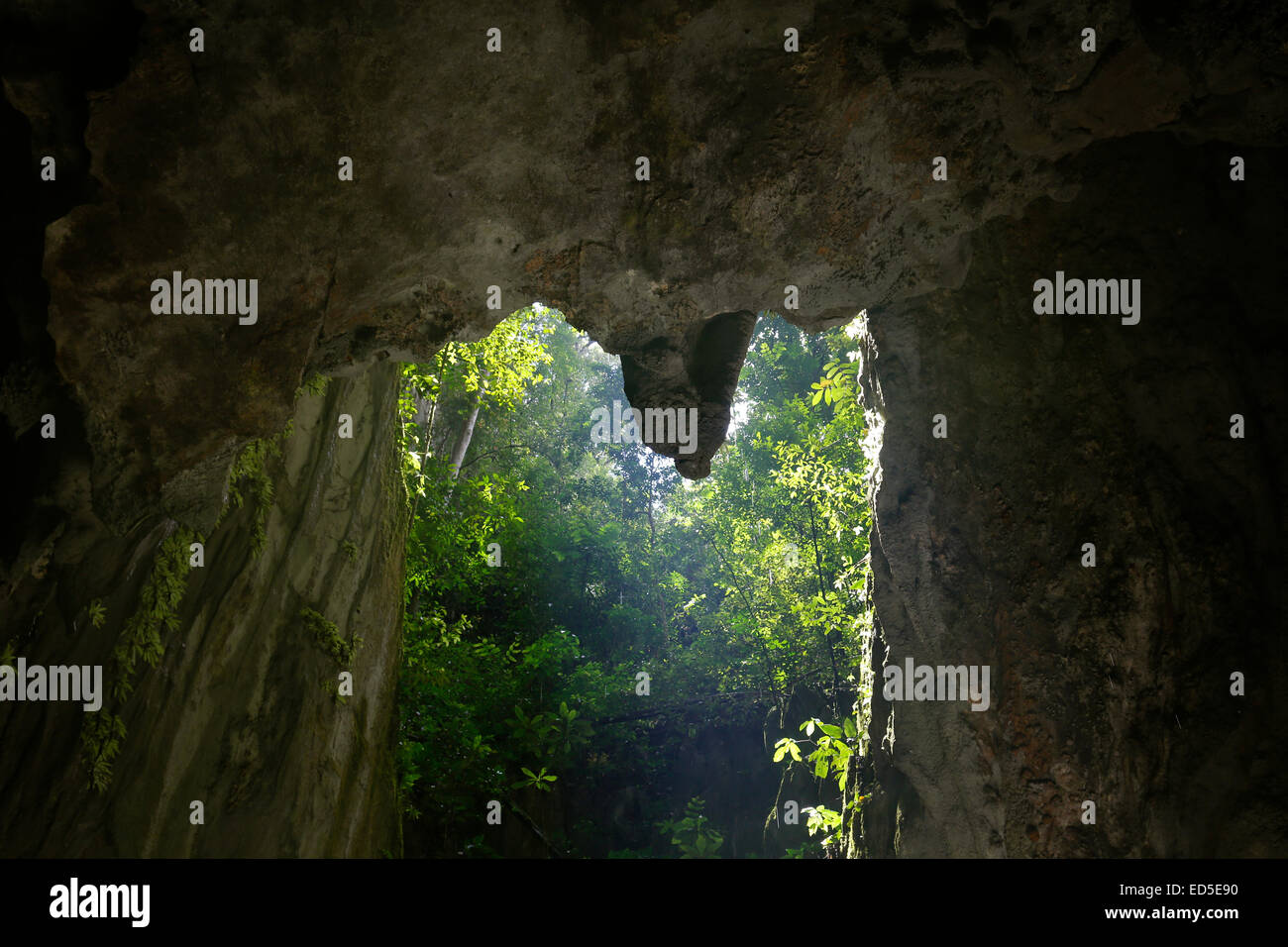 Clearwater Cave in Gunung Mulu National Park in Sarawak, Malaysia Stock ...