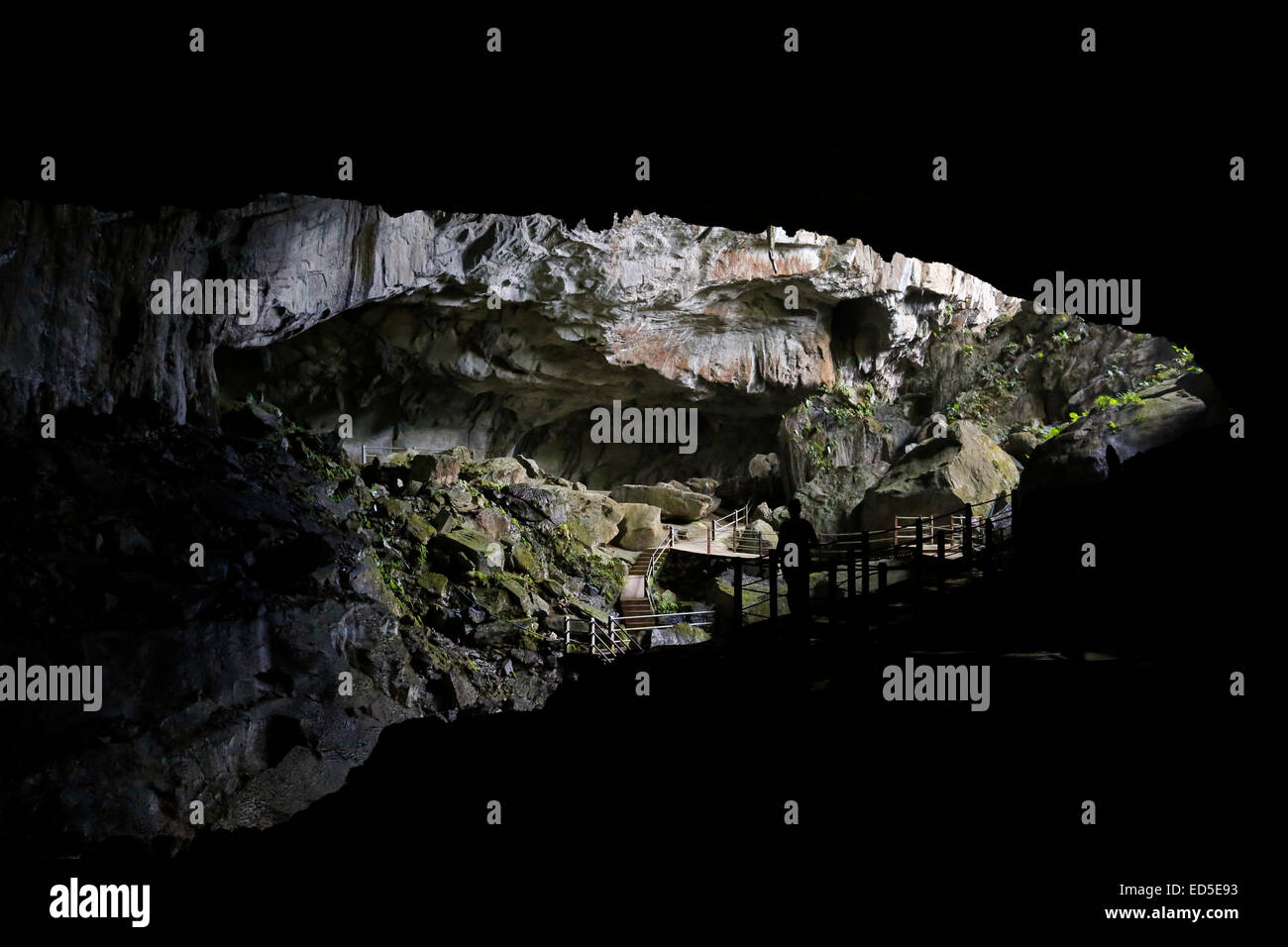 Clearwater Cave in Gunung Mulu National Park in Sarawak, Malaysia Stock ...