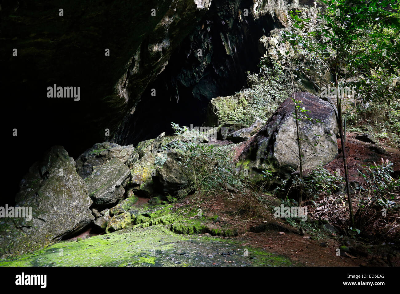 Entrance to Deer Cave in Gunung Mulu National Park in Sarawak, Malaysia ...