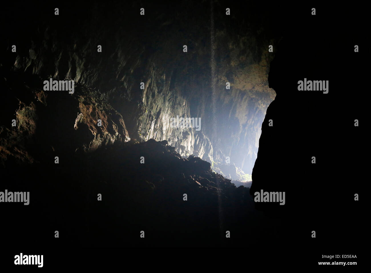 Deer Cave in Gunung Mulu National Park in Sarawak, Malaysia Stock Photo ...