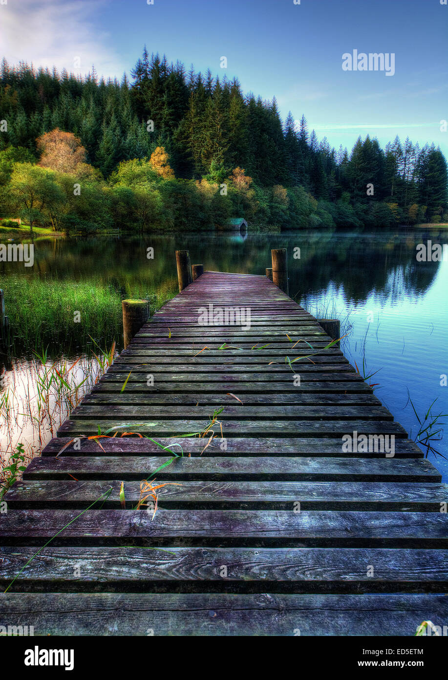 Loch Ard in the Loch Lomond and Trossachs National Park, Scotland. Loch ...