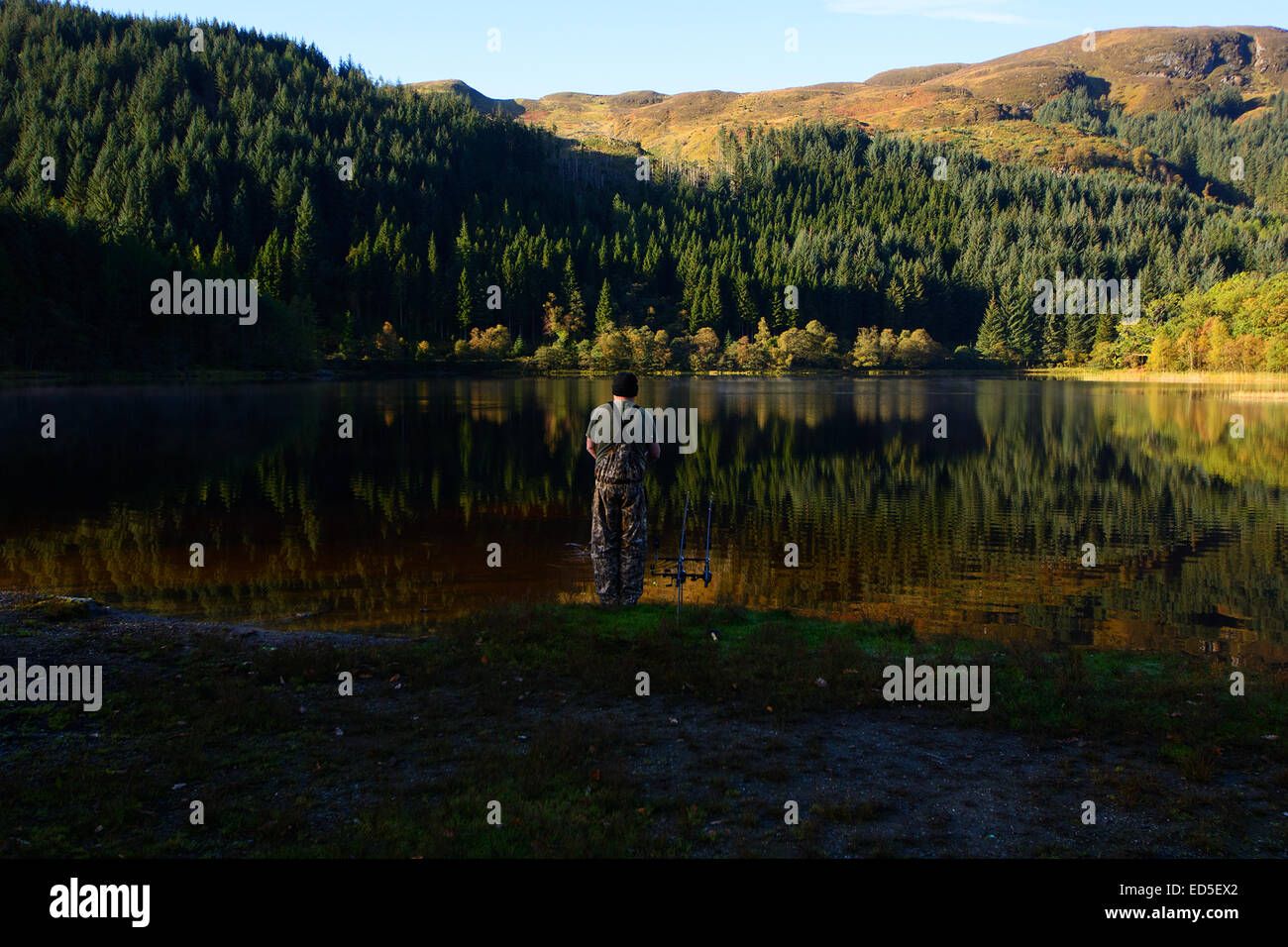 The pike fisherman with three rods hunting the big pike at Loch Chon in ...