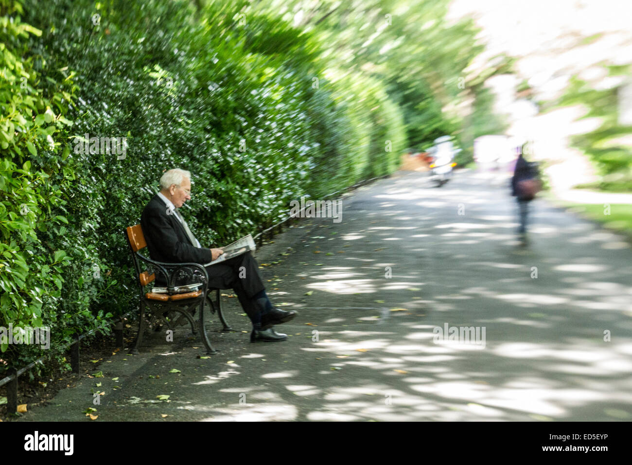 An elderly man reading the paper on a park bench Stock Photo - Alamy