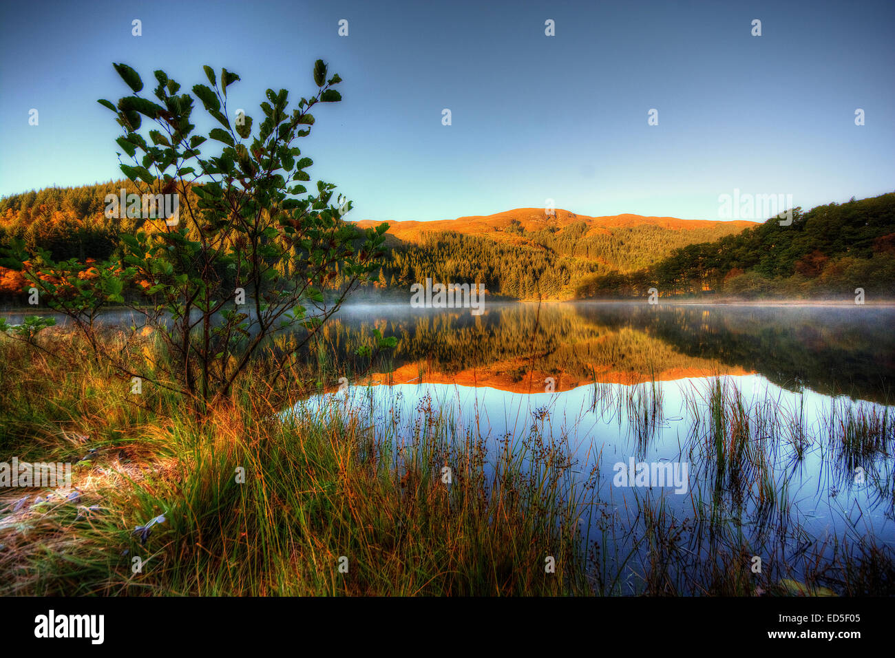 Loch Chon in the Loch Lomond and Trossachs National Park, Central ...