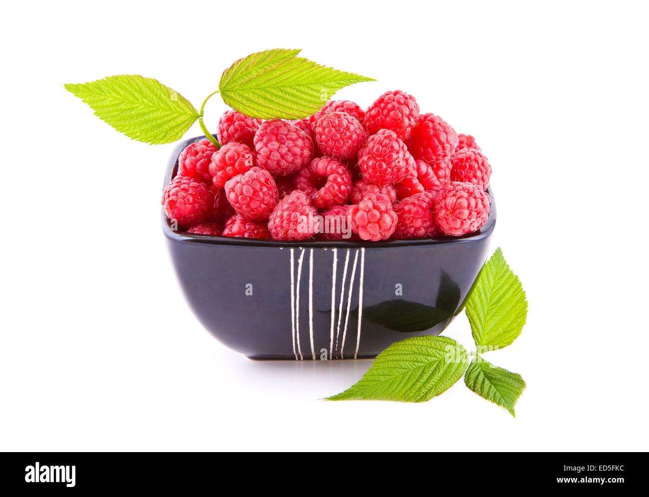 Fresh raspberries in a porcelain bowl isolated on white Stock Photo - Alamy