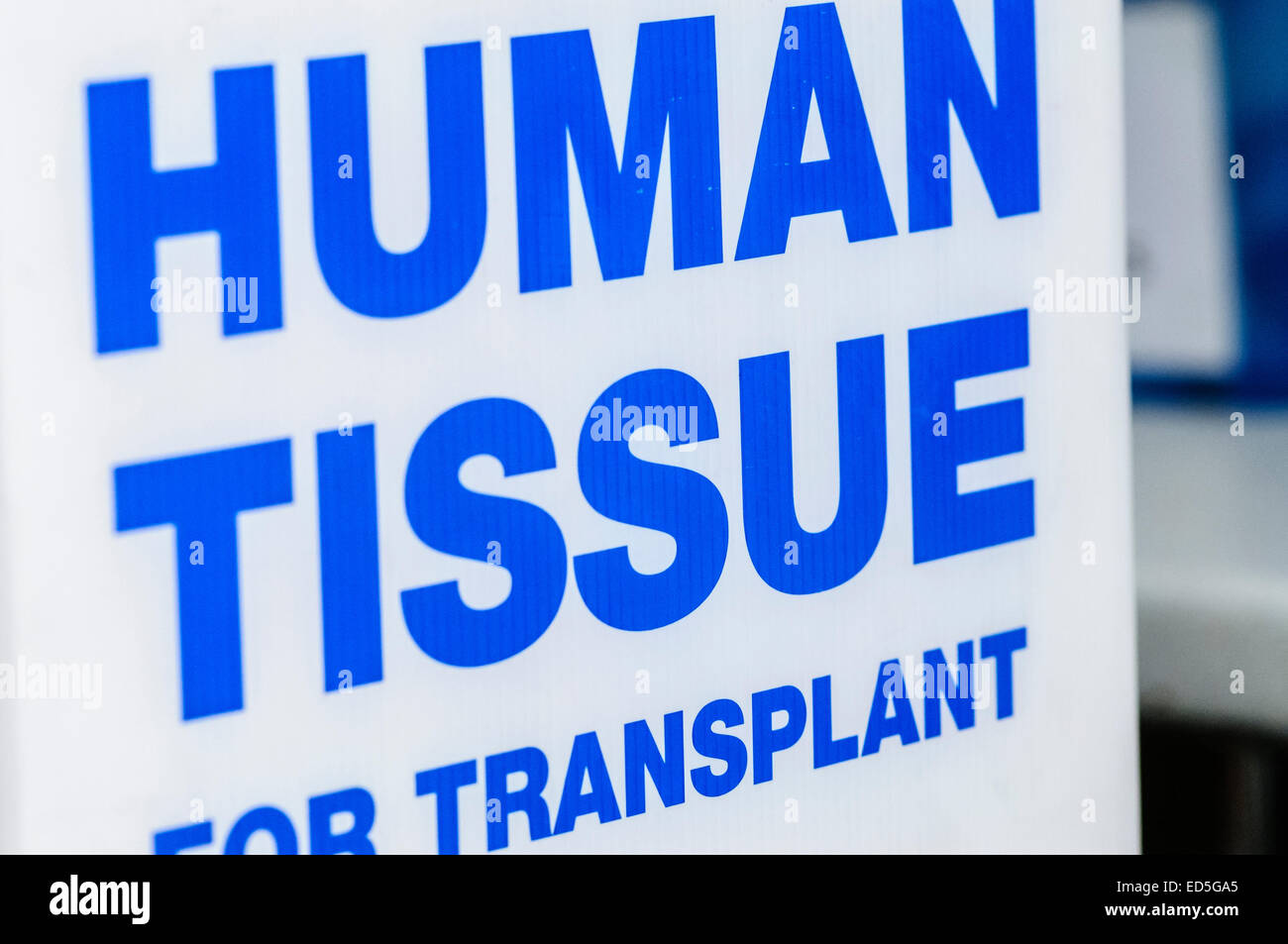 Human organ for transplant High Resolution Stock Photography and Images ...