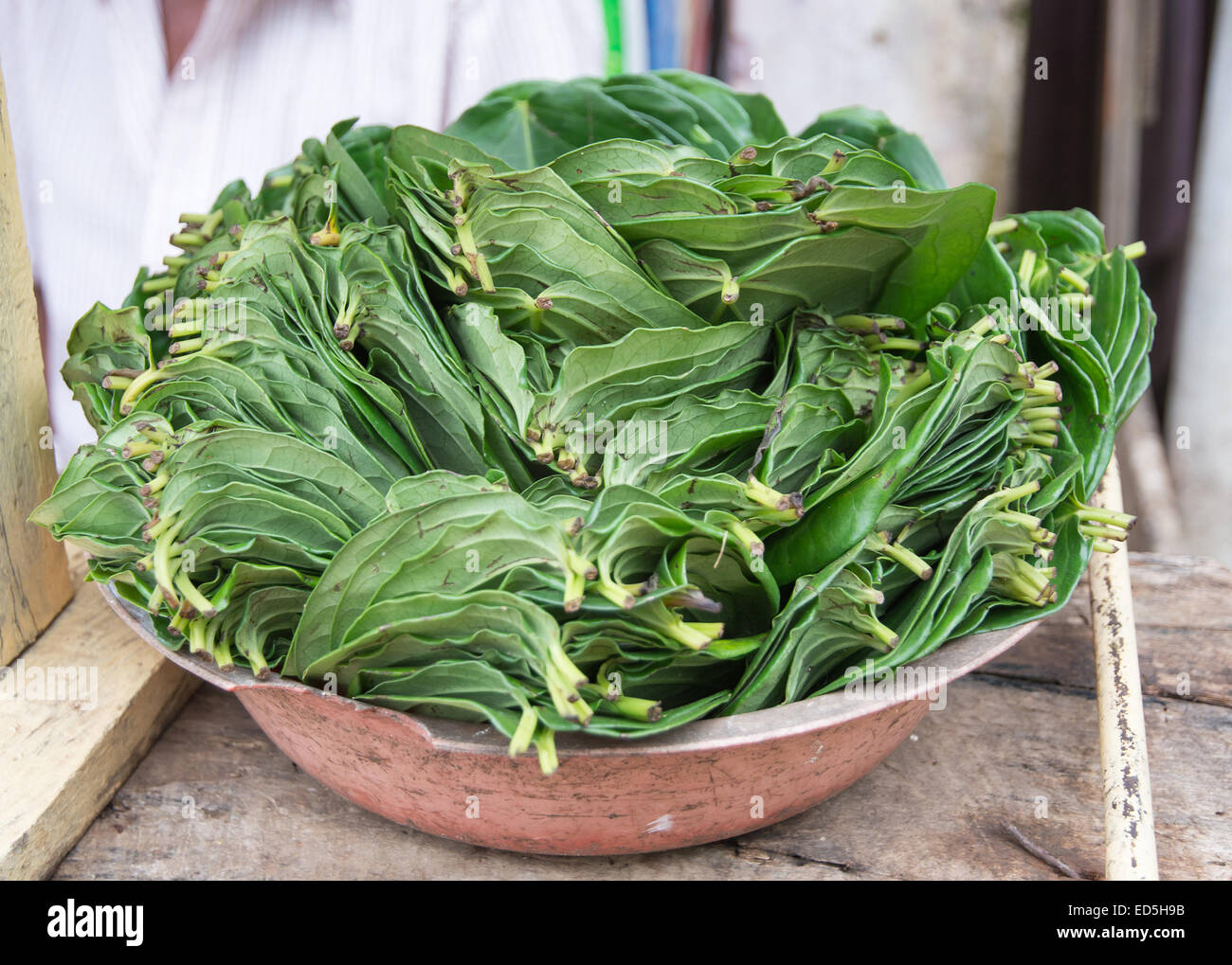 Betel leaves hi-res stock photography and images - Alamy