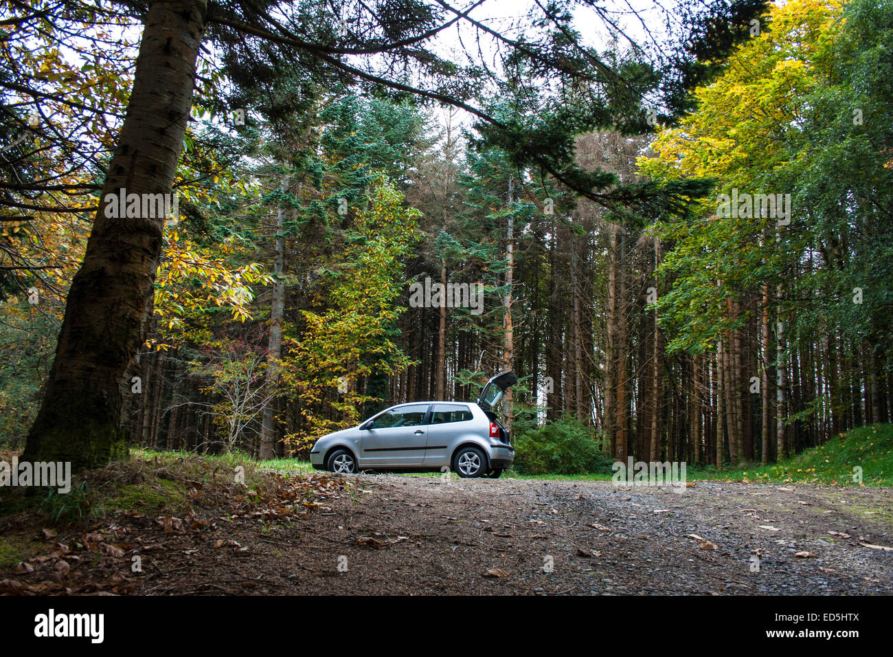 Car with boot open in a forest Stock Photo - Alamy
