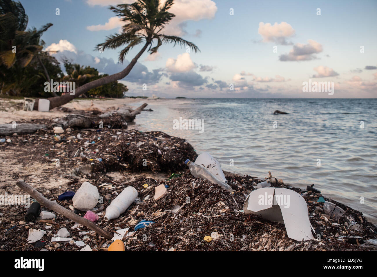 Plastic garbage has washed ashore on a remote island in the Caribbean ...