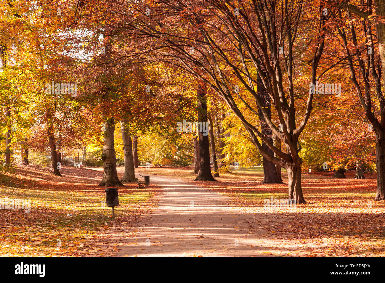 a walk in a autumn park Stock Photo - Alamy