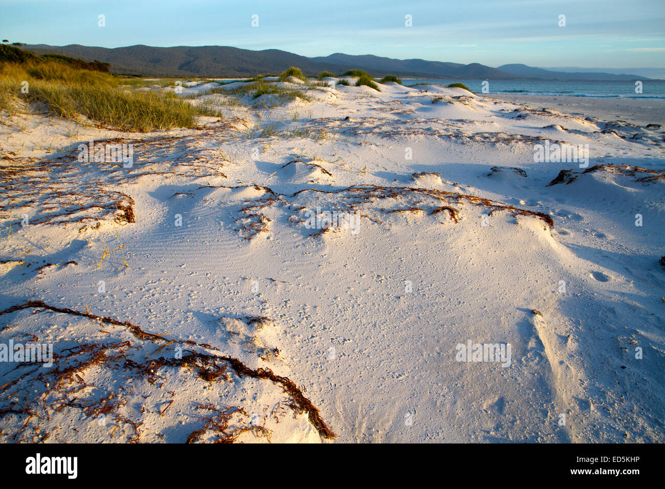 Beach at Bicheno on Tasmania's east coast Stock Photo - Alamy