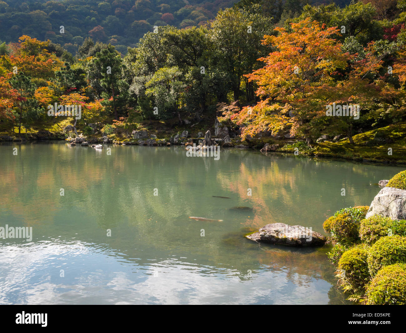 Tenryu shiseizen ji hi-res stock photography and images - Alamy