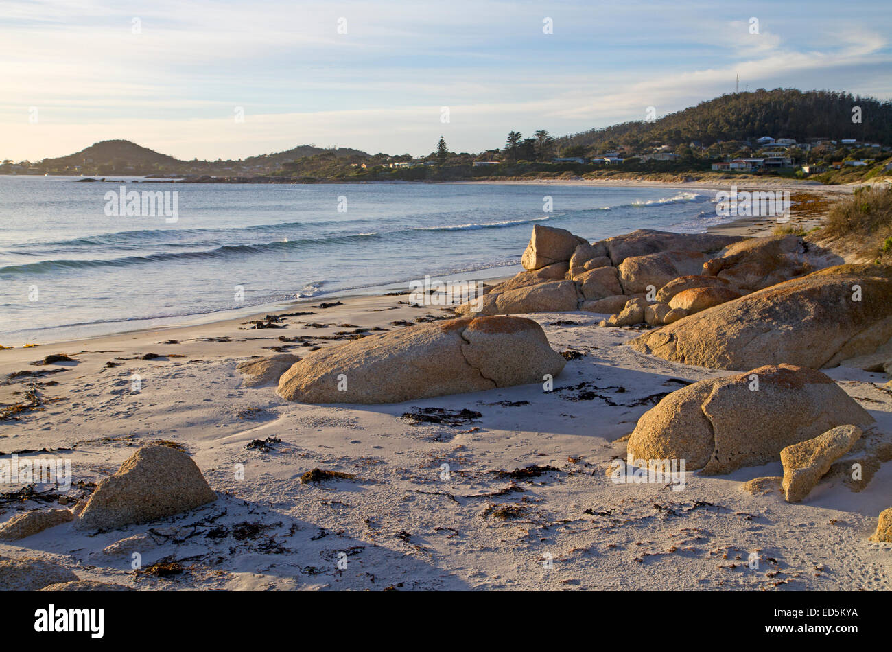 Tasmania australia beach hi-res stock photography and images - Alamy
