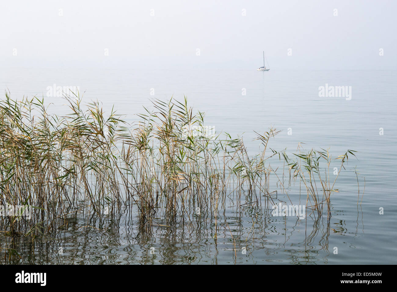 Sailboat sailing in mist lake hi-res stock photography and images - Alamy
