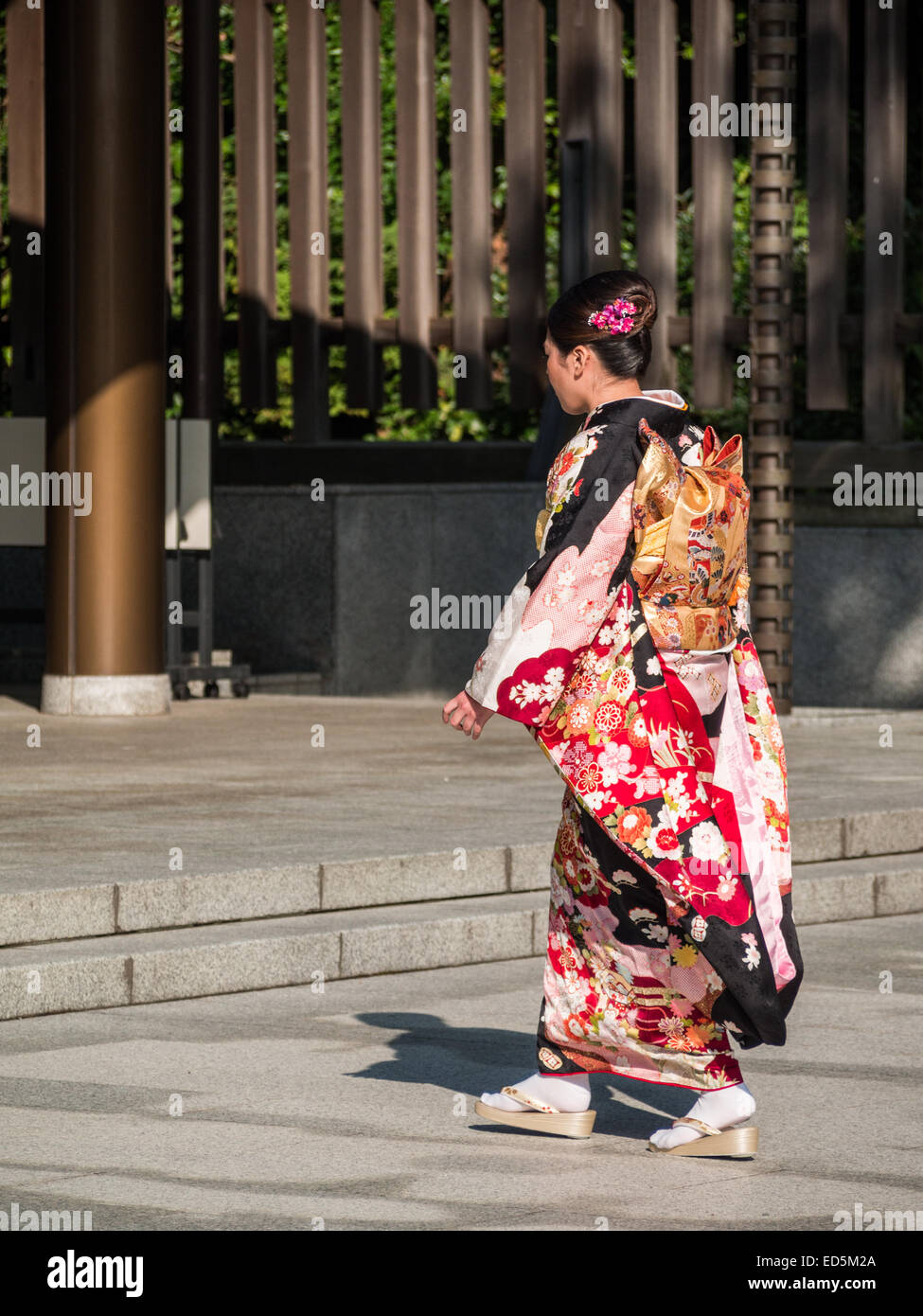 Woman in traditional shinto costume hi-res stock photography and images ...