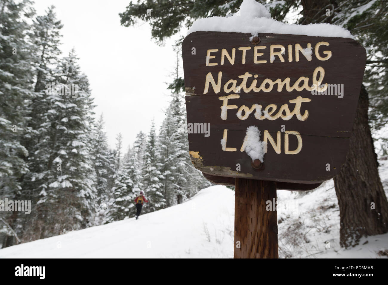 Entering national forest land sign hi-res stock photography and images ...
