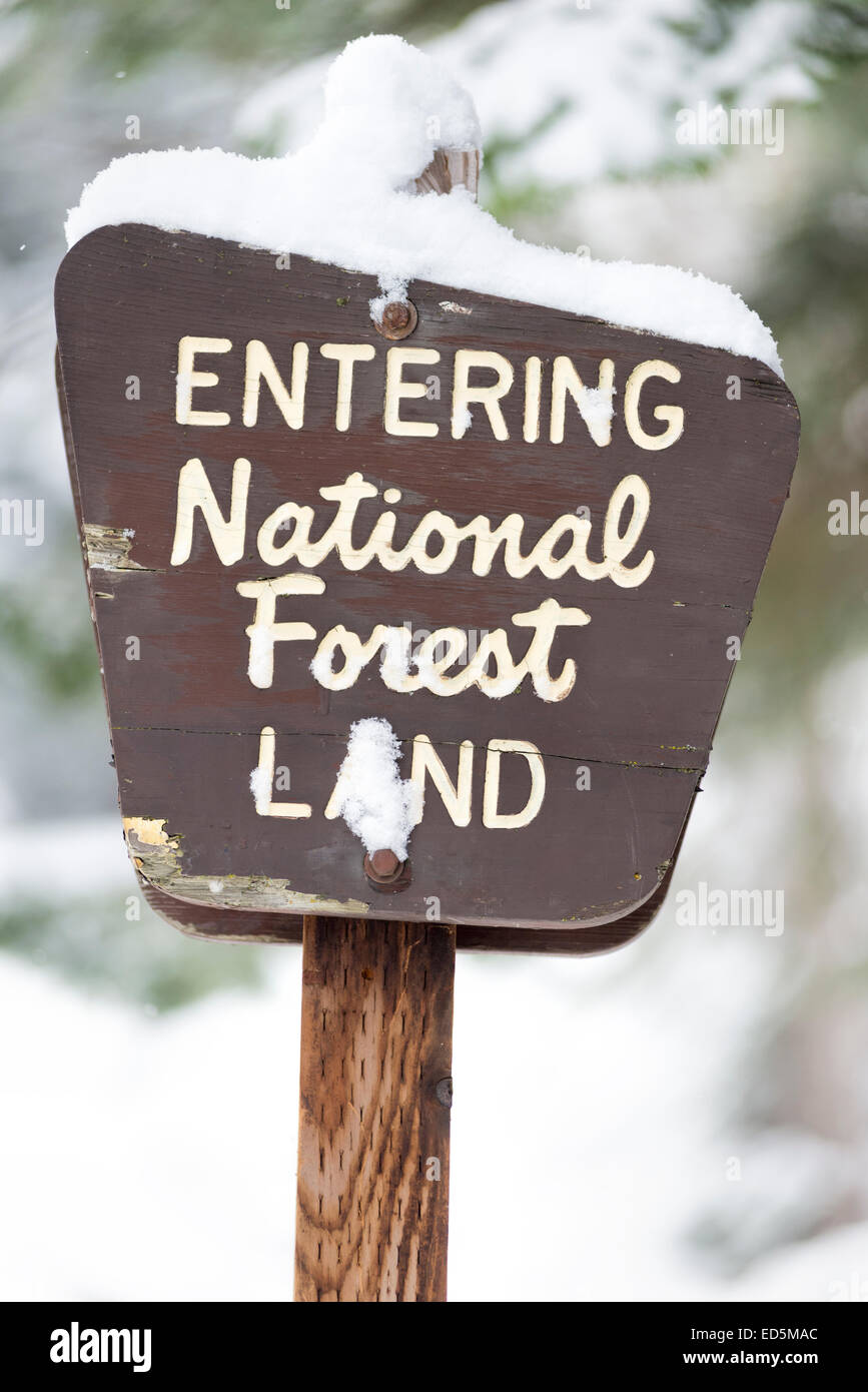 Entering National Forest Land sign, Wallowa Mountains, Oregon Stock ...