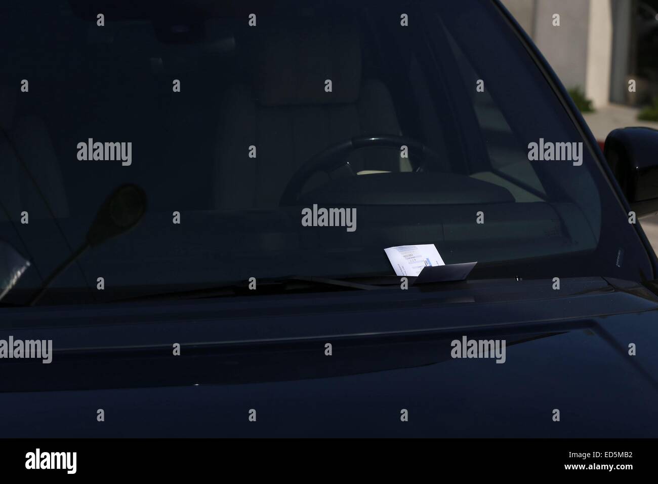 Sharon Osbourne walks to her car with her Pomeranian pet dog after ...