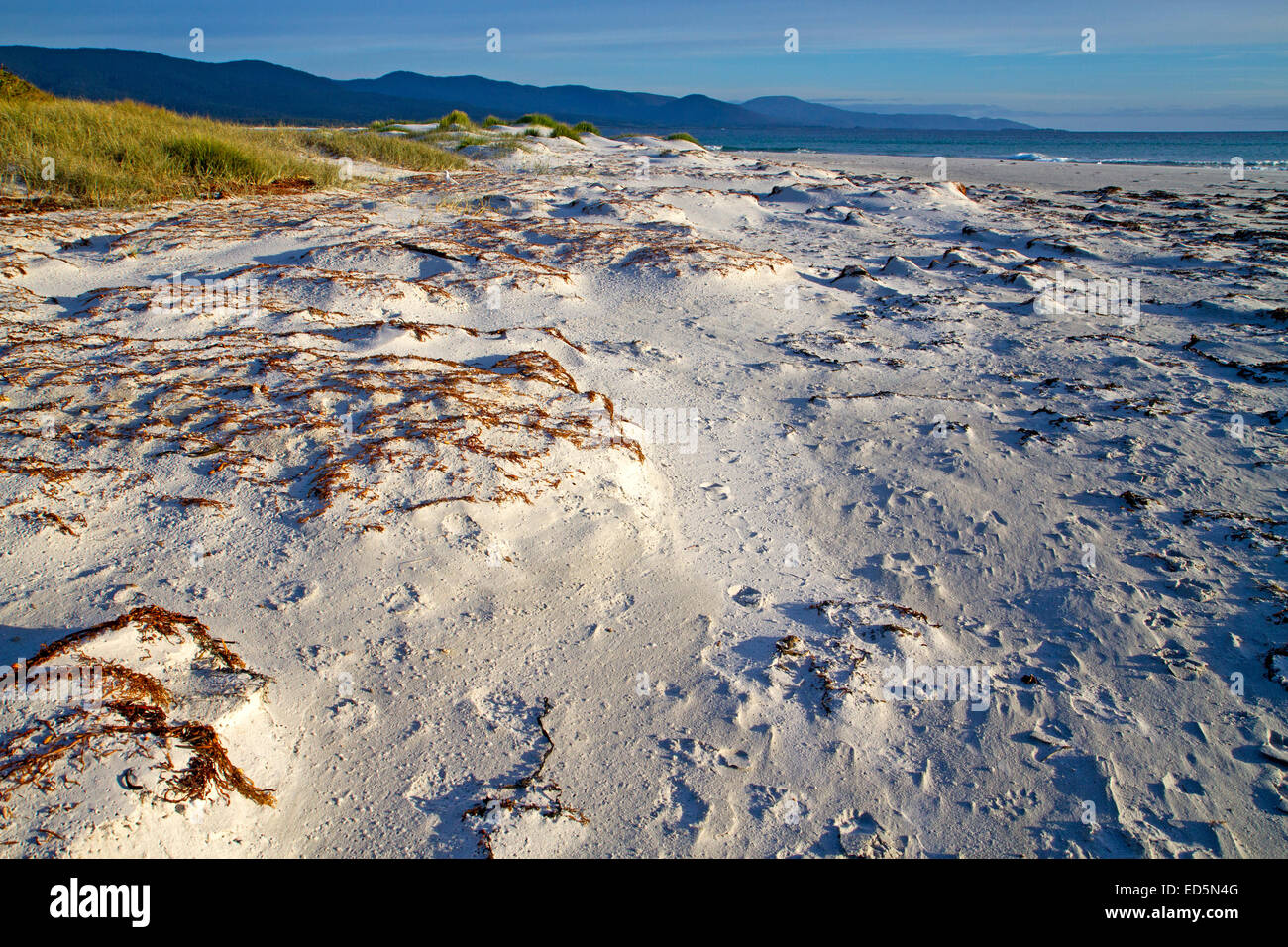 Bicheno tasmania hi-res stock photography and images - Alamy