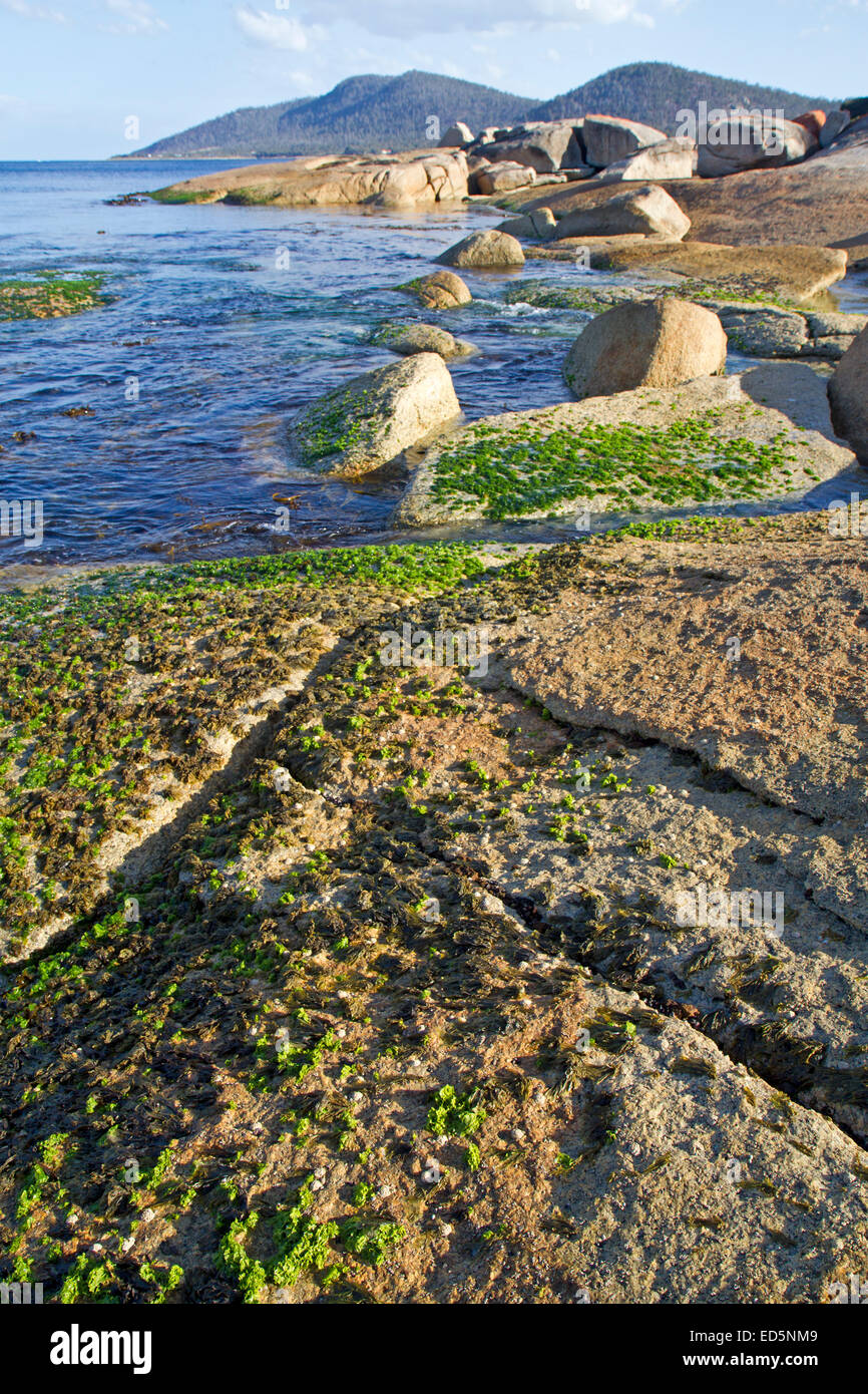 Coastline by the Blowhole in Bicheno Stock Photo - Alamy