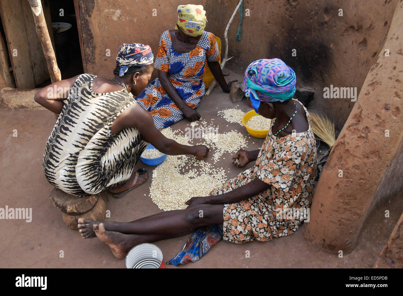Women cleaning corn kernels outside their mud hut, Gambaga, Ghana Stock ...