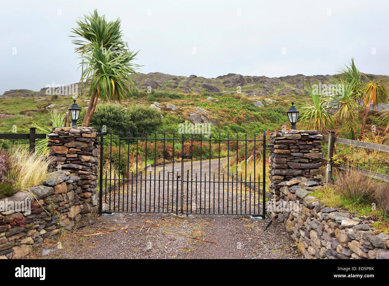Gates and fence with palm trees Stock Photo - Alamy