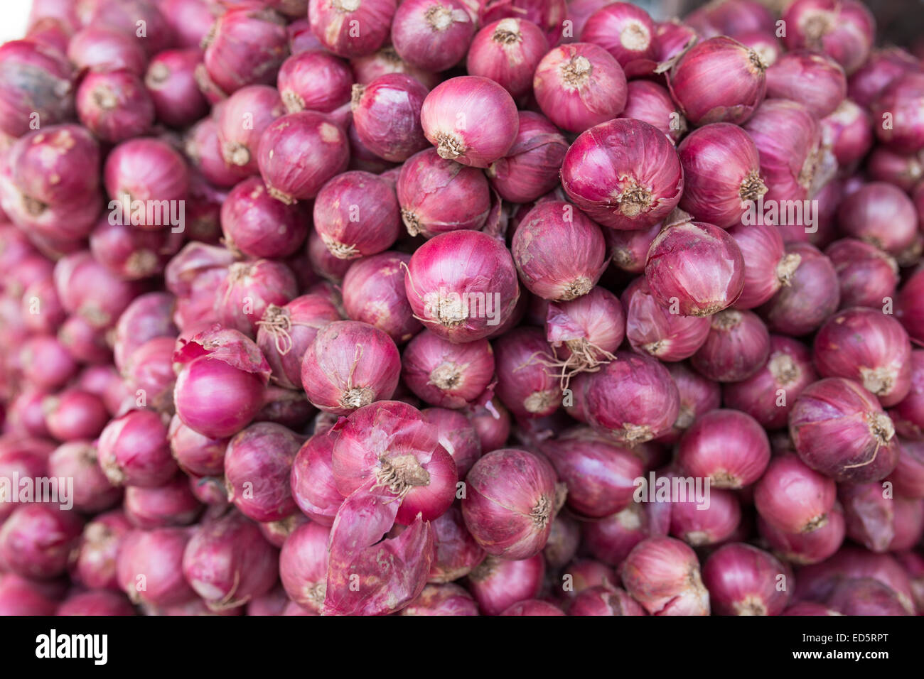 Baby onion red hi-res stock photography and images - Alamy