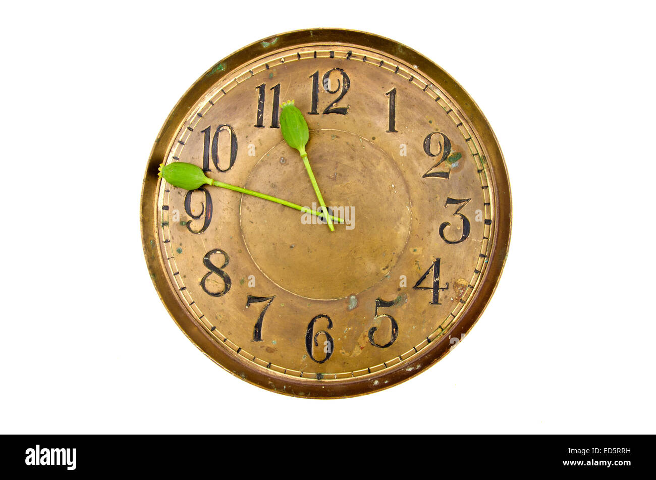 time concept - green poppy head arrows on old clock face dial isolated ...