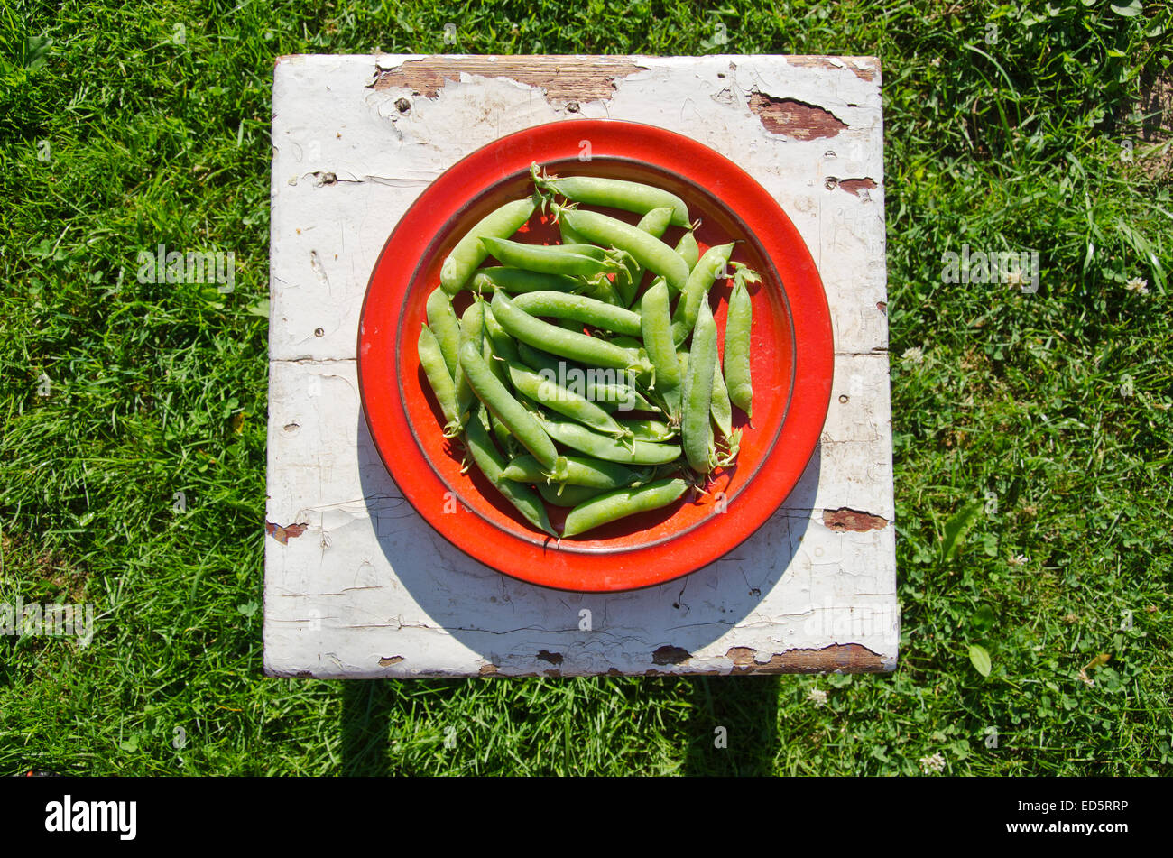 Garden pod seat hi-res stock photography and images - Alamy