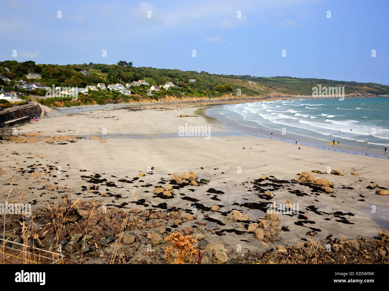 The Lizard peninsula Cornwall England UK at Coverack beach in summer ...
