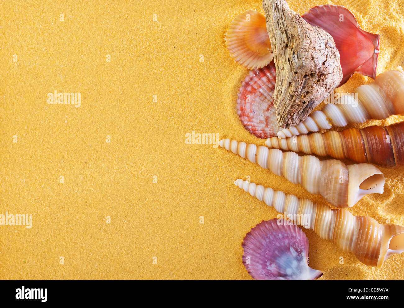Composition sand shells stones hi-res stock photography and images - Alamy