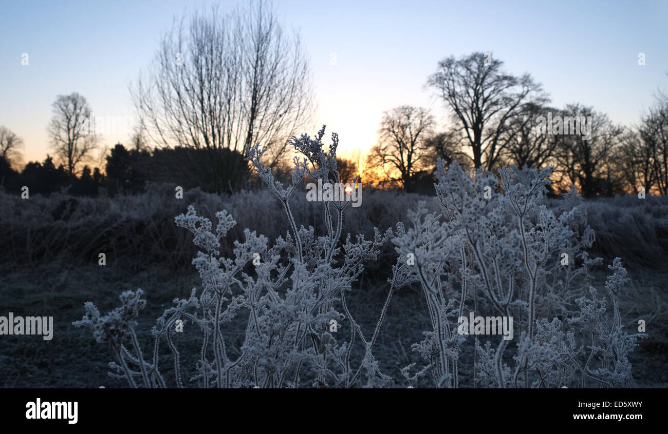 Below freezing temperatures hi-res stock photography and images - Alamy