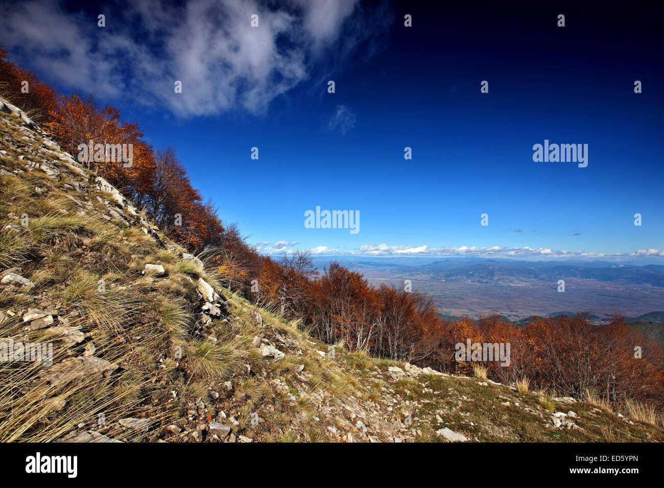 Pangeo hi-res stock photography and images - Alamy