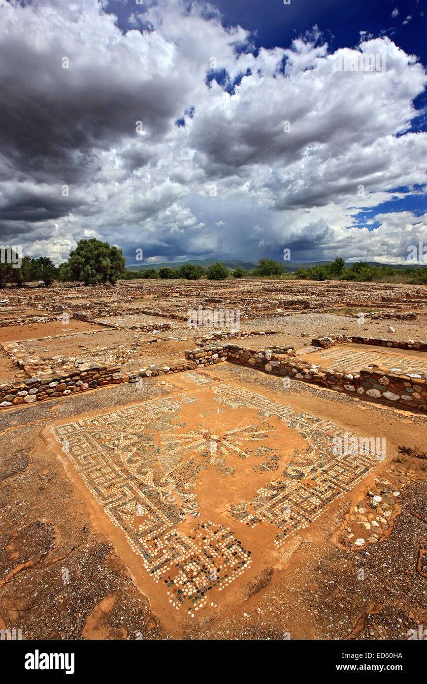 Beautiful mosaic at Ancient Olynthos (Olynthus), Polygyros municipality ...