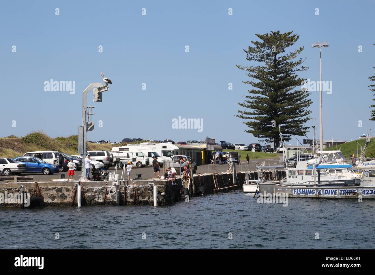 People fishing at Kiama Harbour Stock Photo - Alamy