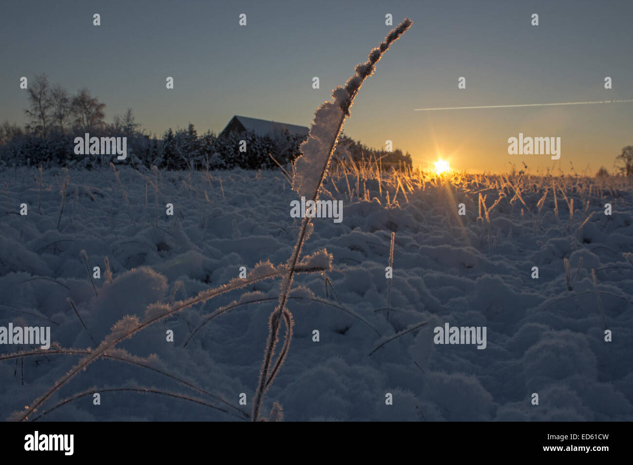 Winter landscape at dawn Stock Photo - Alamy