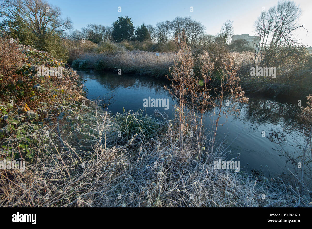 River wandle london hi-res stock photography and images - Alamy