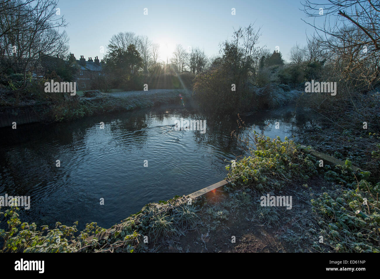 River wandle london hi-res stock photography and images - Alamy