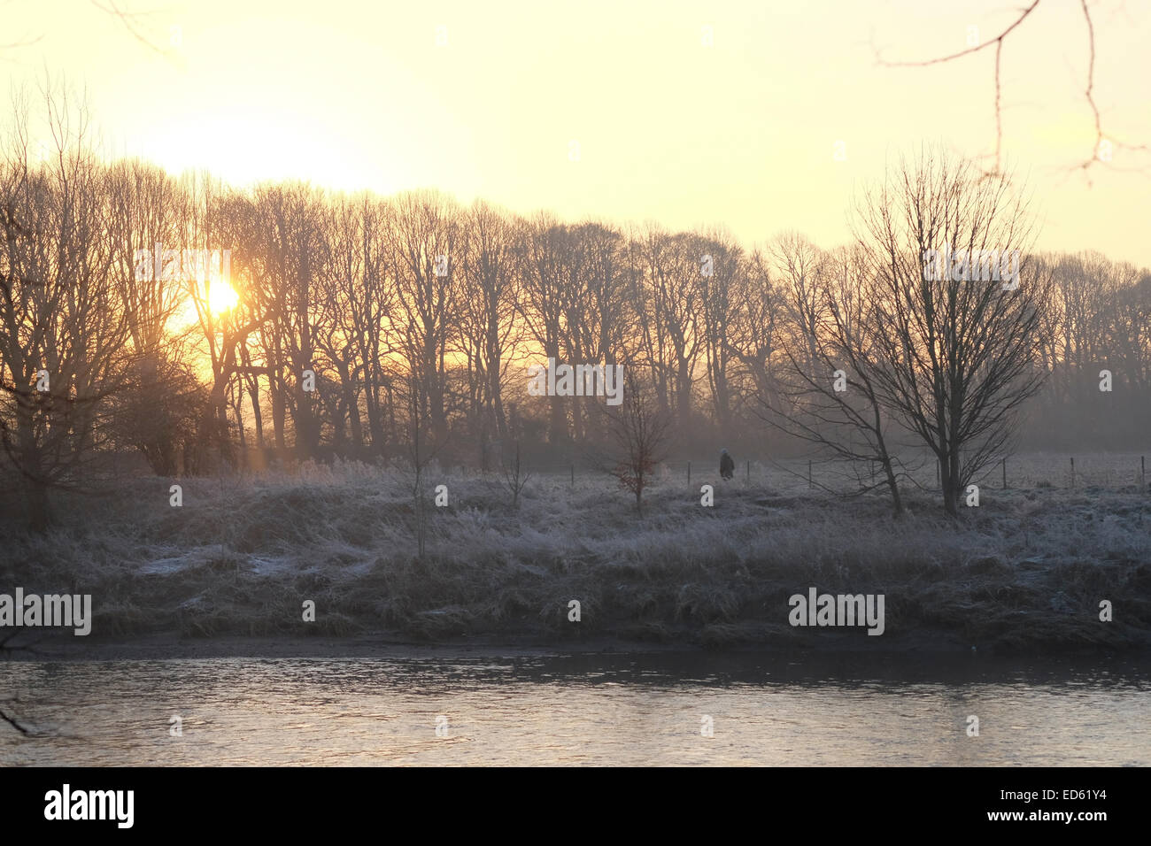 Preston Lancashire: Man walking alongside the River Ribble in Preston ...