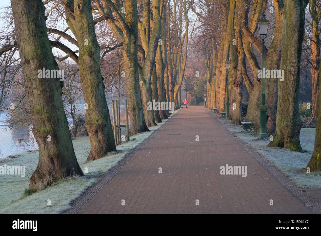Preston, Lancashire: Man walking through Avenham Park by the River ...