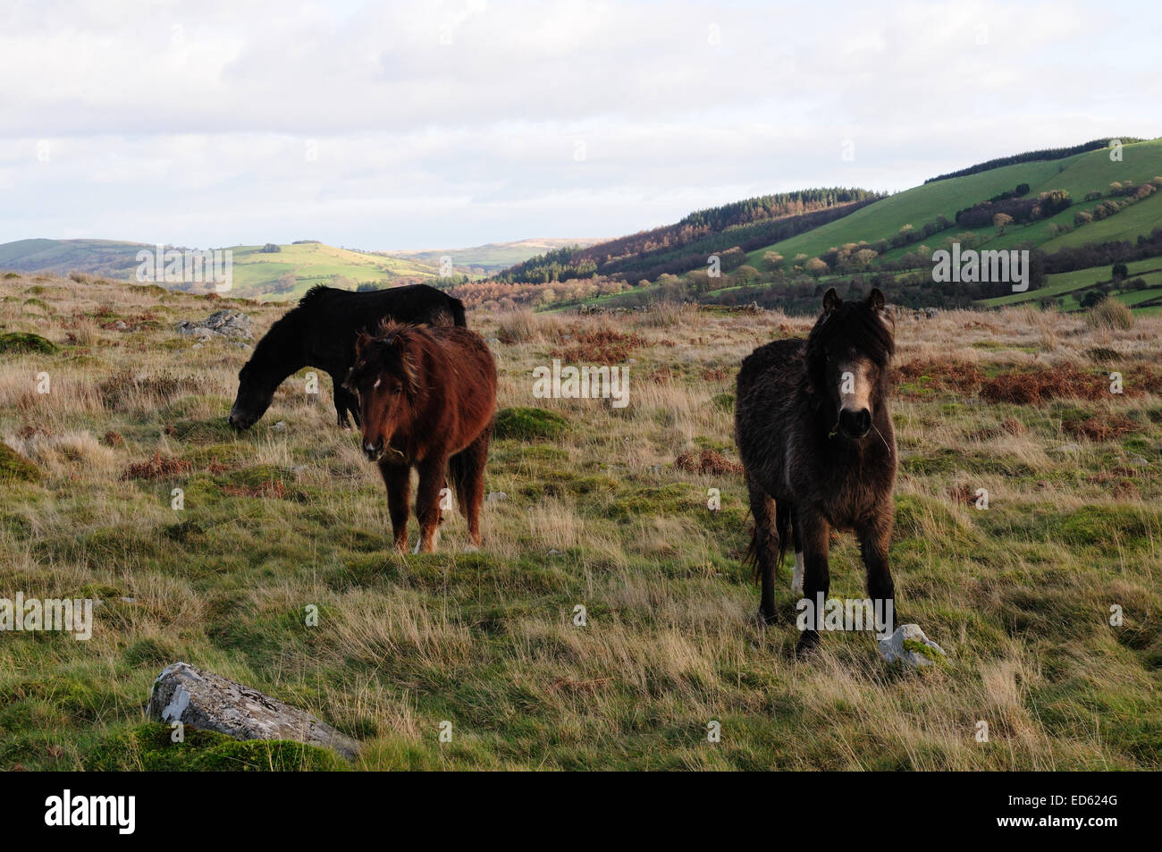 Bethlehem wales hi-res stock photography and images - Alamy