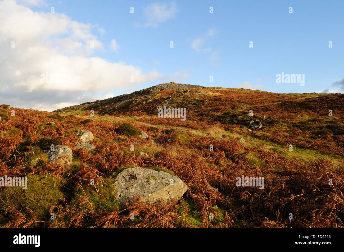 Garn Goch Iron Age hill fort Bethlehem Llandeilo Carmarthenshire Wales ...