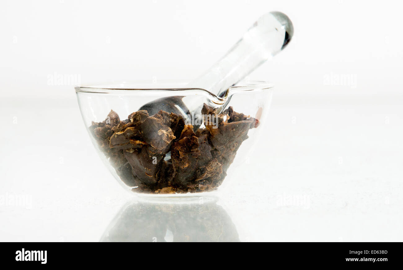 Placenta frame hi-res stock photography and images - Alamy