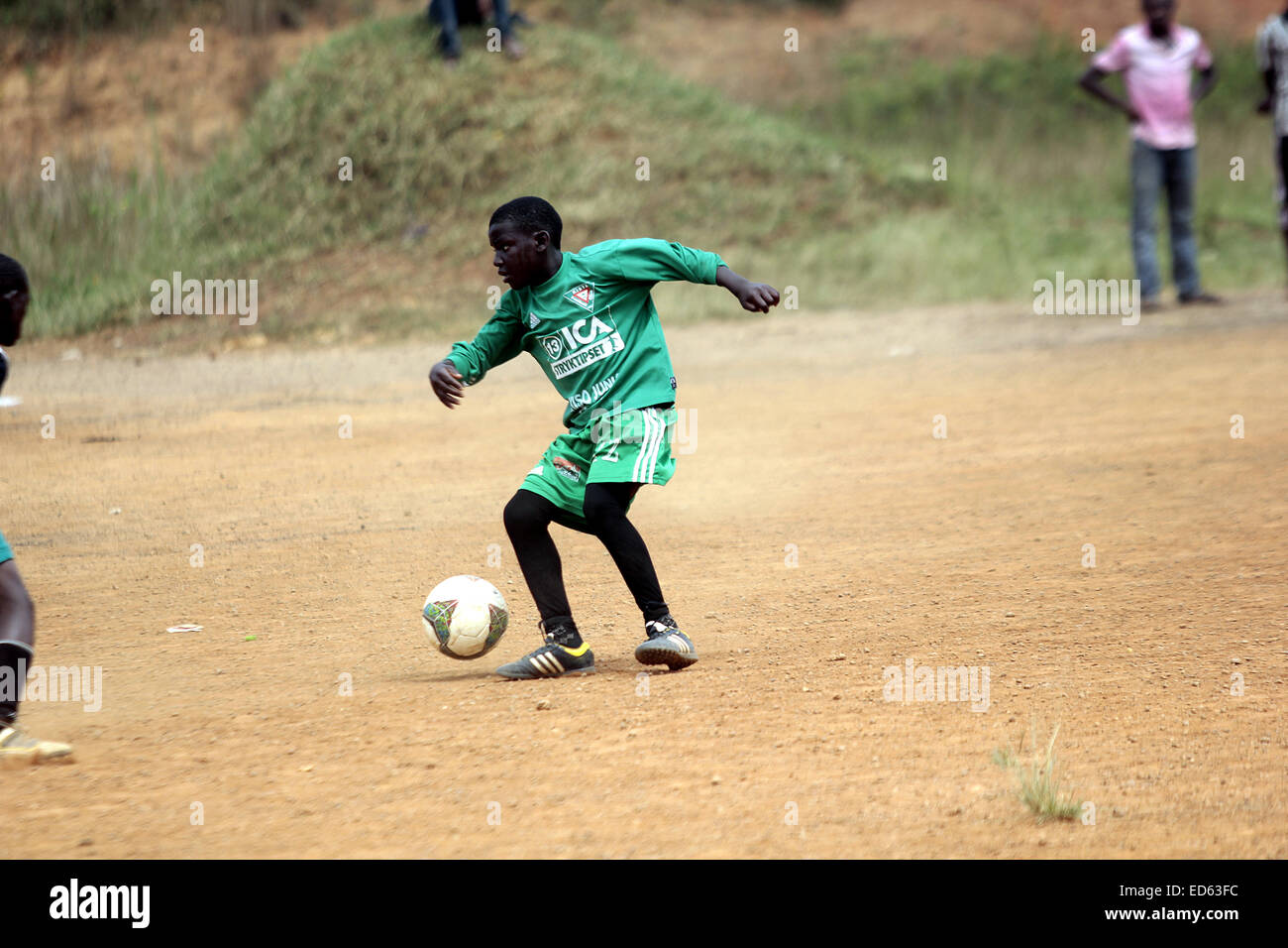 This time of year they have kits hi-res stock photography and images ...