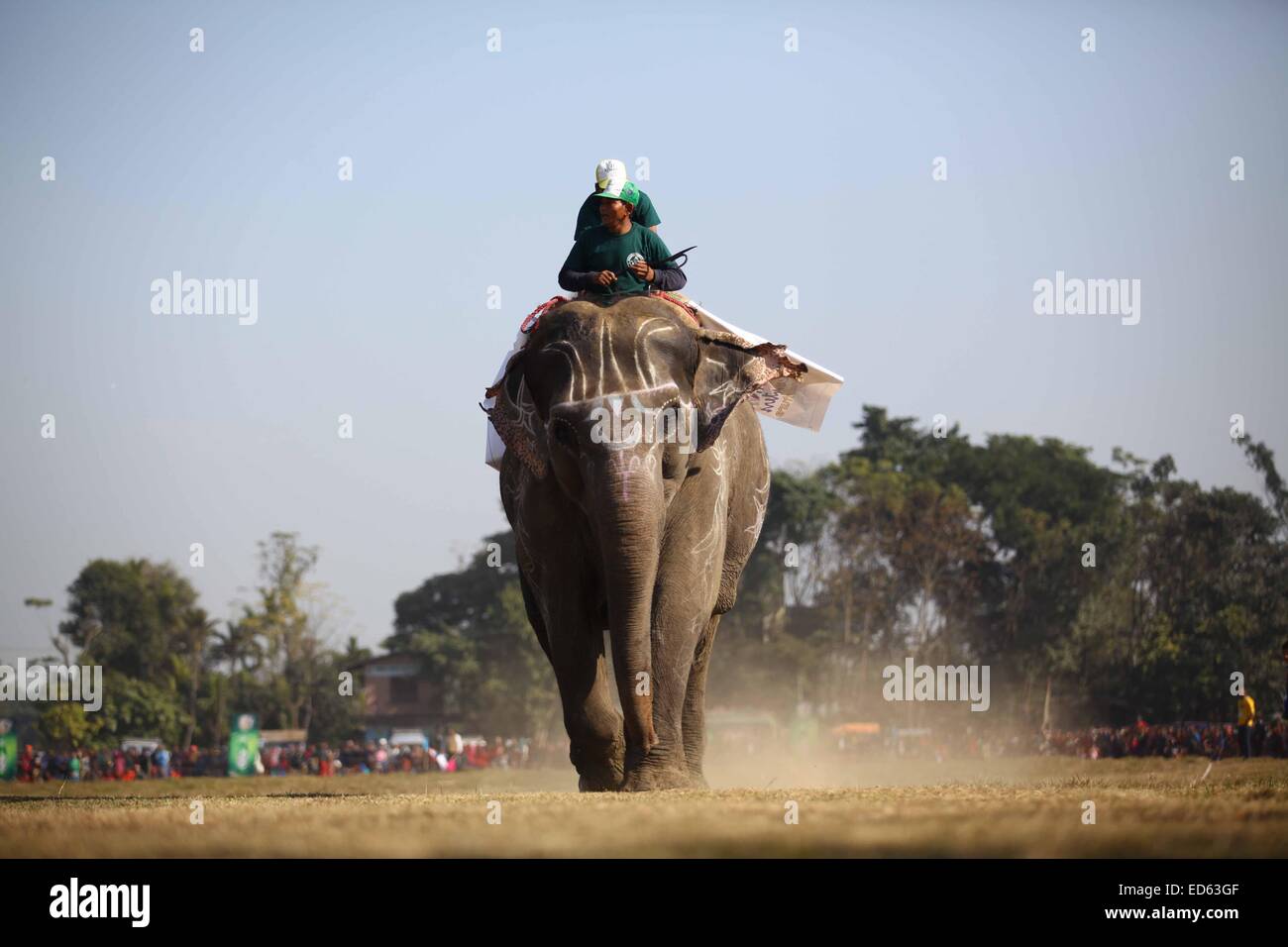 Nepal elephant competition hi-res stock photography and images - Alamy