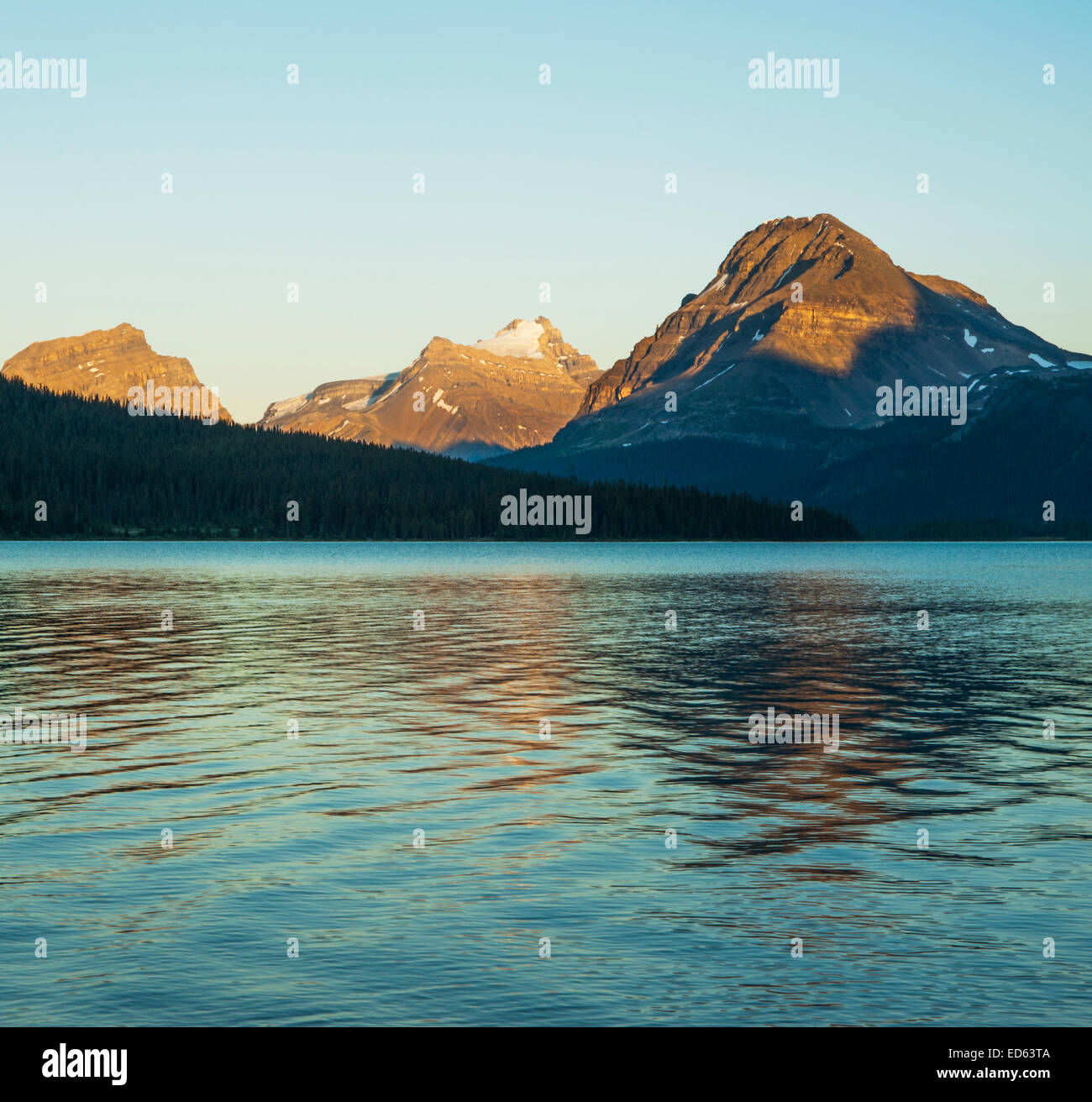 Bow Lake scenic in Banff National Park, Alberta, Canada Stock Photo - Alamy